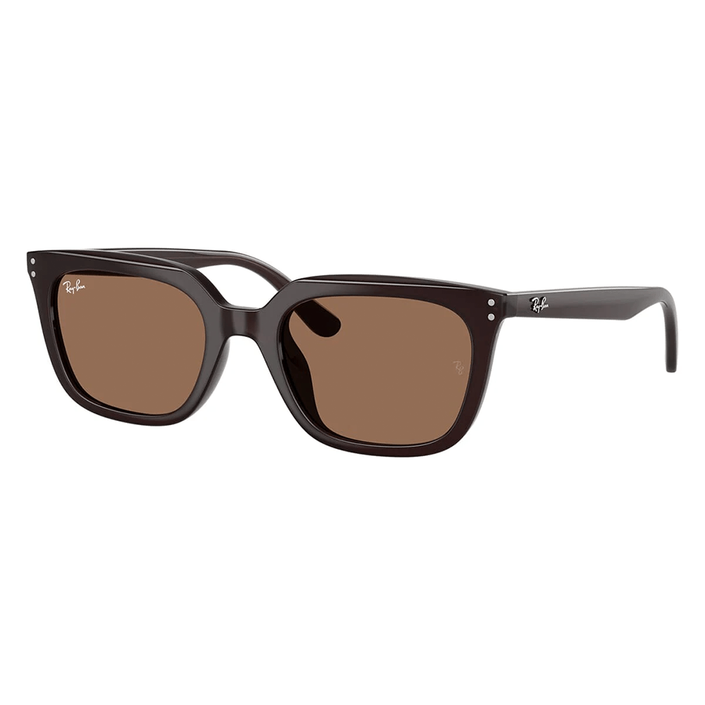 Ray-Ban RB4439D 6231/73 Sunglasses - Urban Sunglasses – URBAN SUNGLASSES